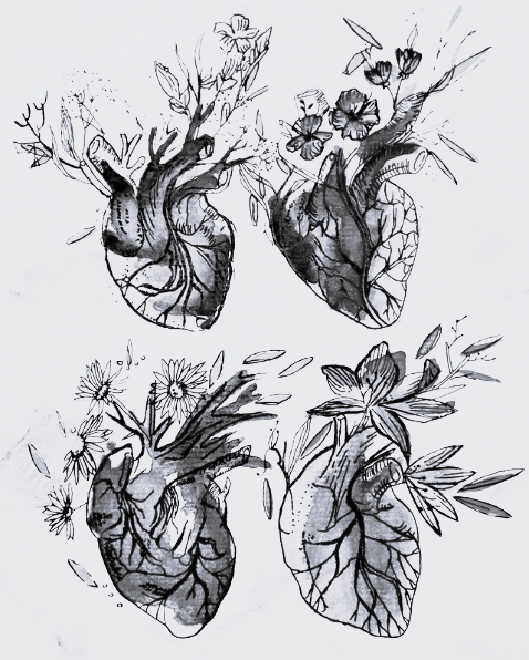 The Healthy Heart Trust Archives – Healthy Heart Trust